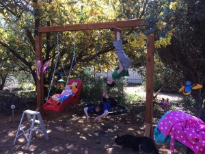 Adaptive Swings - Disabled Swings Jennswing